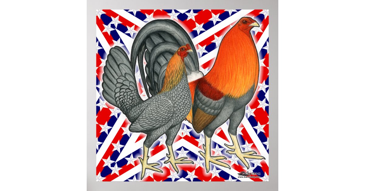 Stars and Stripes Gamefowl Poster | Zazzle