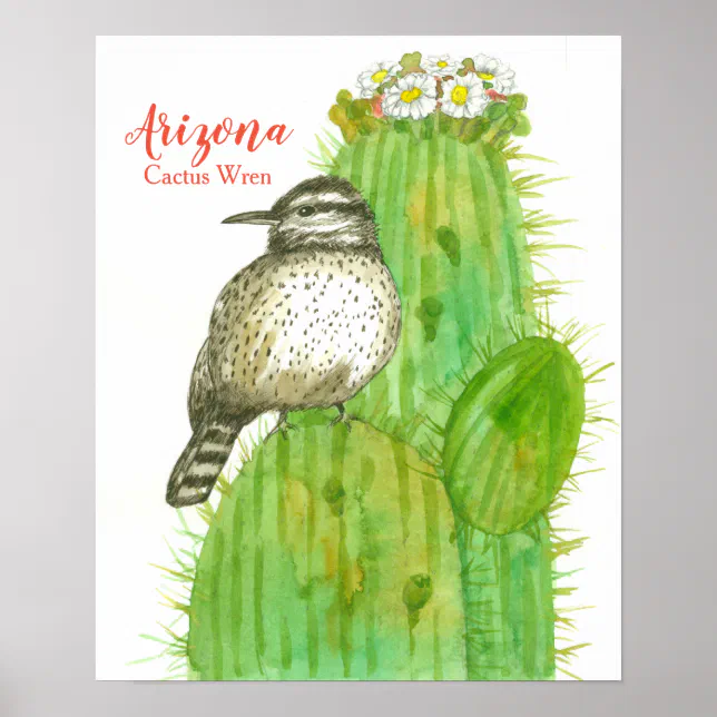 State Bird of Arizona Cactus Wren Poster | Zazzle