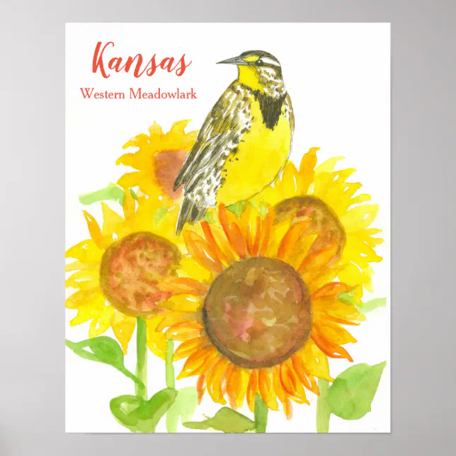 State Bird of Kansas Meadowlark Sunflower Poster | Zazzle