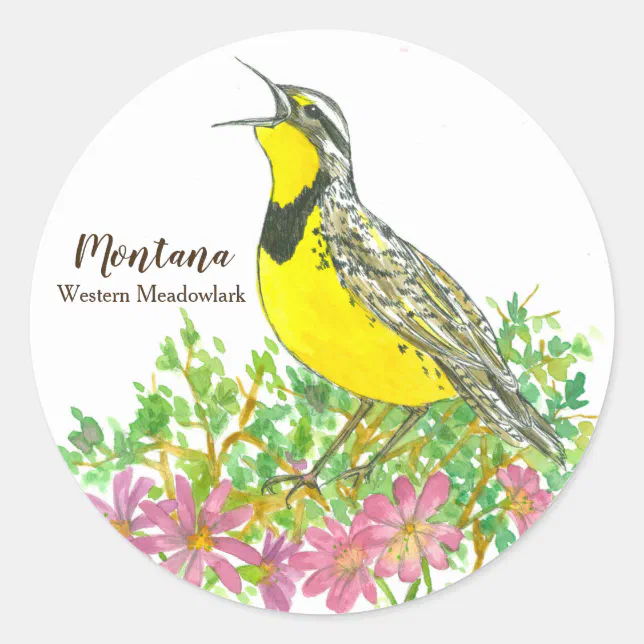 State Bird of Montana Western Meadowlark Songbird Classic Round Sticker ...