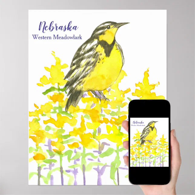 State Bird of Nebraska Western Meadowlark Poster | Zazzle