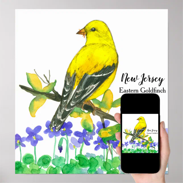 State Bird of New Jersey Eastern Goldfinch Poster | Zazzle