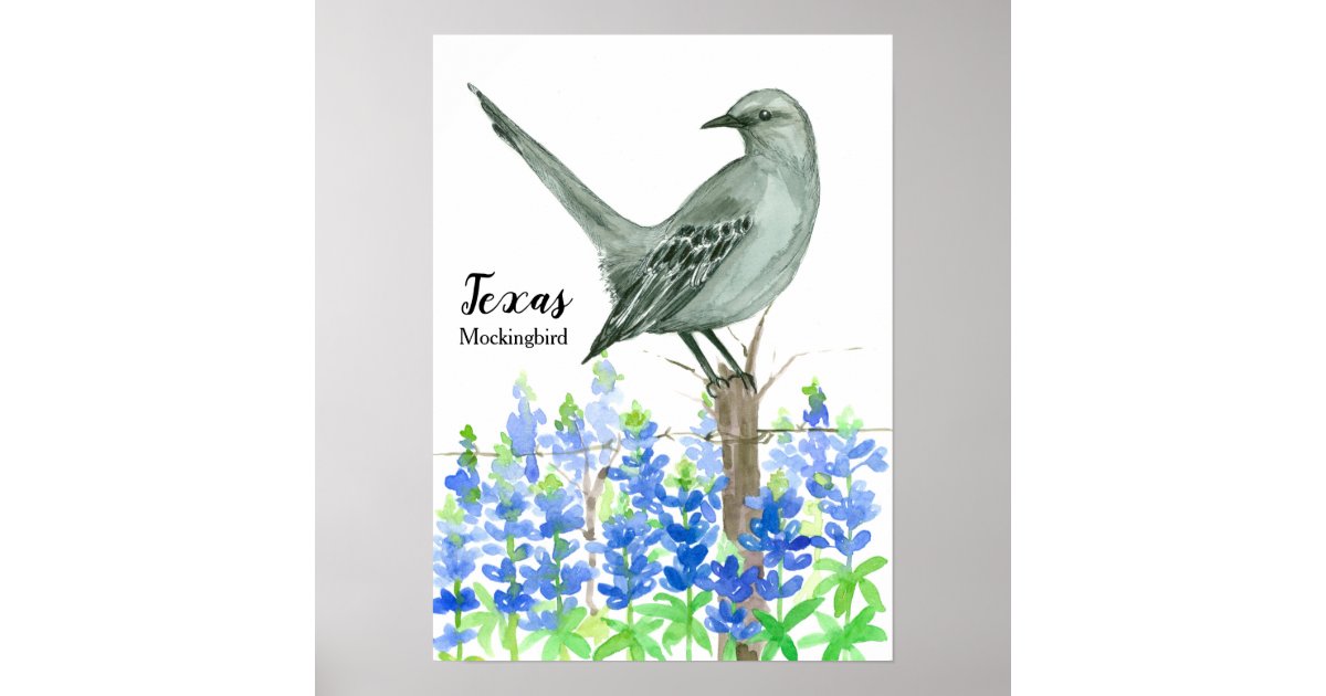 State Bird of Texas Mockingbird Poster | Zazzle