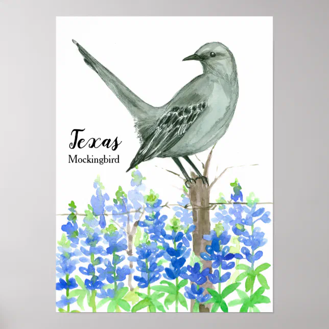 State Bird of Texas Mockingbird Poster | Zazzle