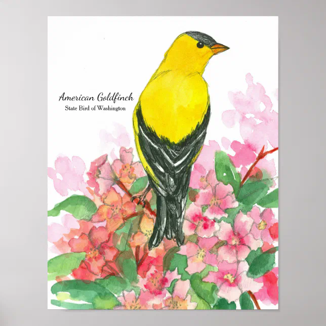 State Bird of Washington American Goldfinch Yellow Poster | Zazzle
