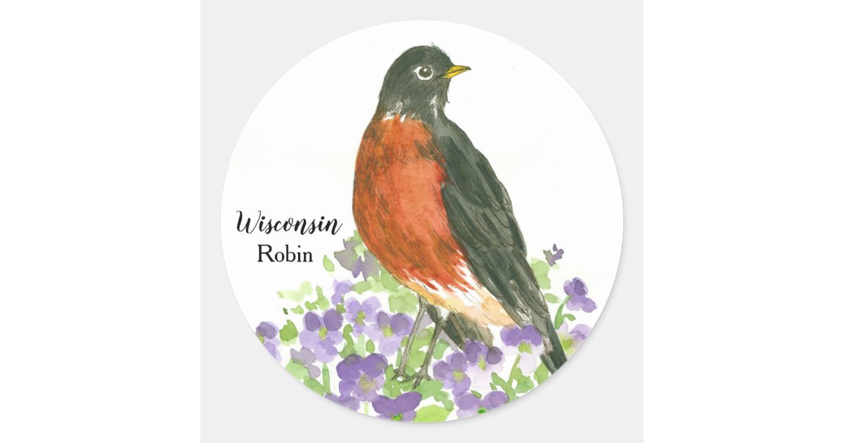 State Bird of Wisconsin Robin Wood Violet Classic Round Sticker | Zazzle