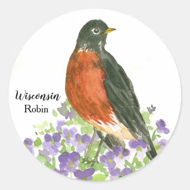 State Bird of Wisconsin Robin Wood Violet Classic Round Sticker | Zazzle