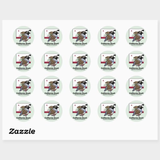 State Birdorable: California Quail Classic Round Sticker | Zazzle