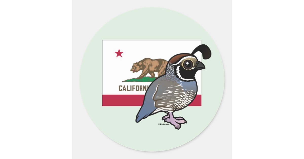 State Birdorable: California Quail Classic Round Sticker | Zazzle