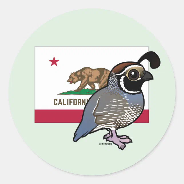 State Birdorable: California Quail Classic Round Sticker | Zazzle