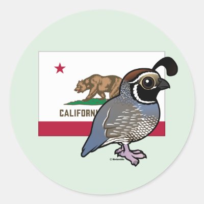 Meet the Cute & Charming California Quail | Birdorable Birds