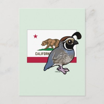 Meet the Cute & Charming California Quail | Birdorable Birds