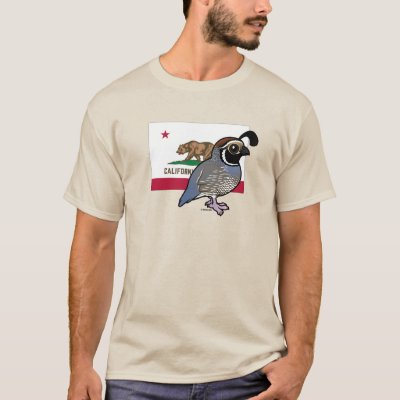 Meet the Cute & Charming California Quail | Birdorable Birds