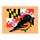 Maryland State Bird - Baltimore Oriole Postcard | Zazzle.com