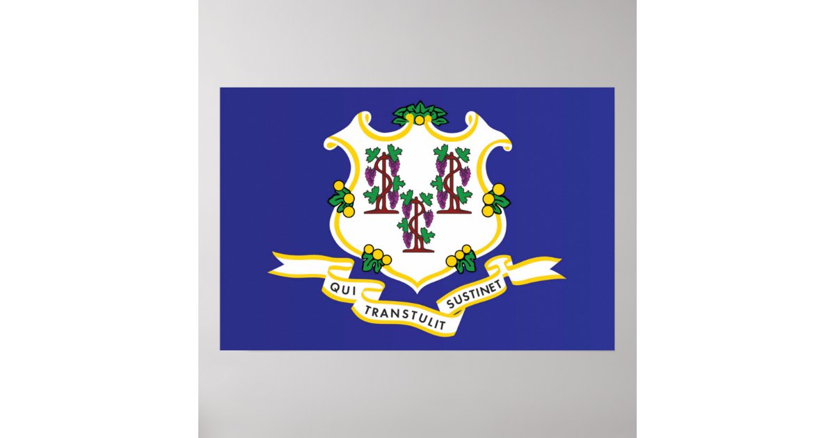 State Flag of Connecticut, USA Poster | Zazzle