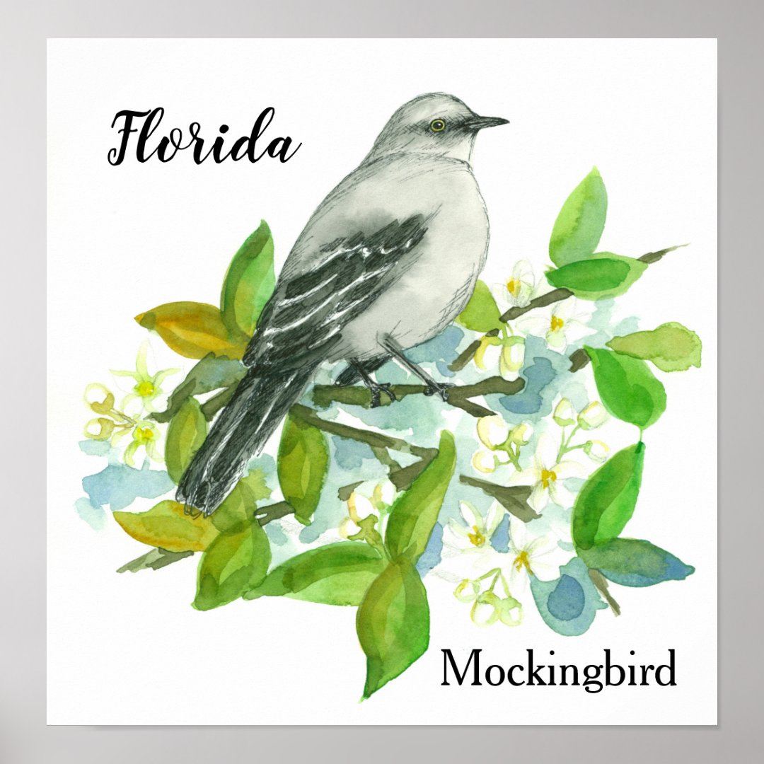 State Flower of Florida Orange Blossom Mockingbird Poster | Zazzle