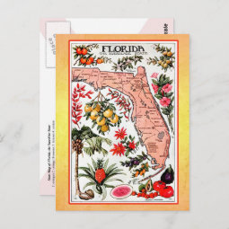State Map of Florida (vintage reprint) Postcard | Zazzle