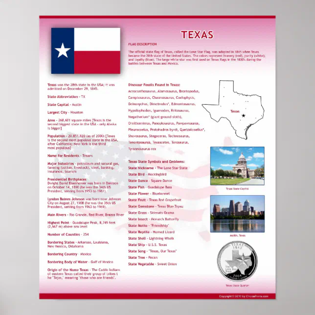 State of Texas, TX Posters | Zazzle