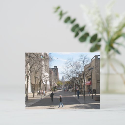 State Street Madison Wisconsin Library Mall Postcard | Zazzle