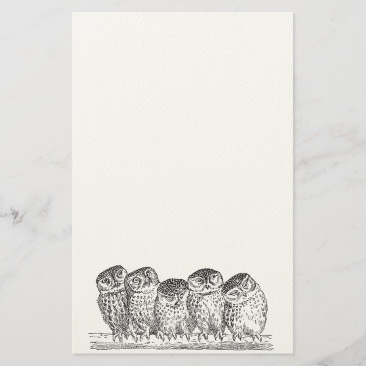 Stationary Vintage Owl Stationery | Zazzle