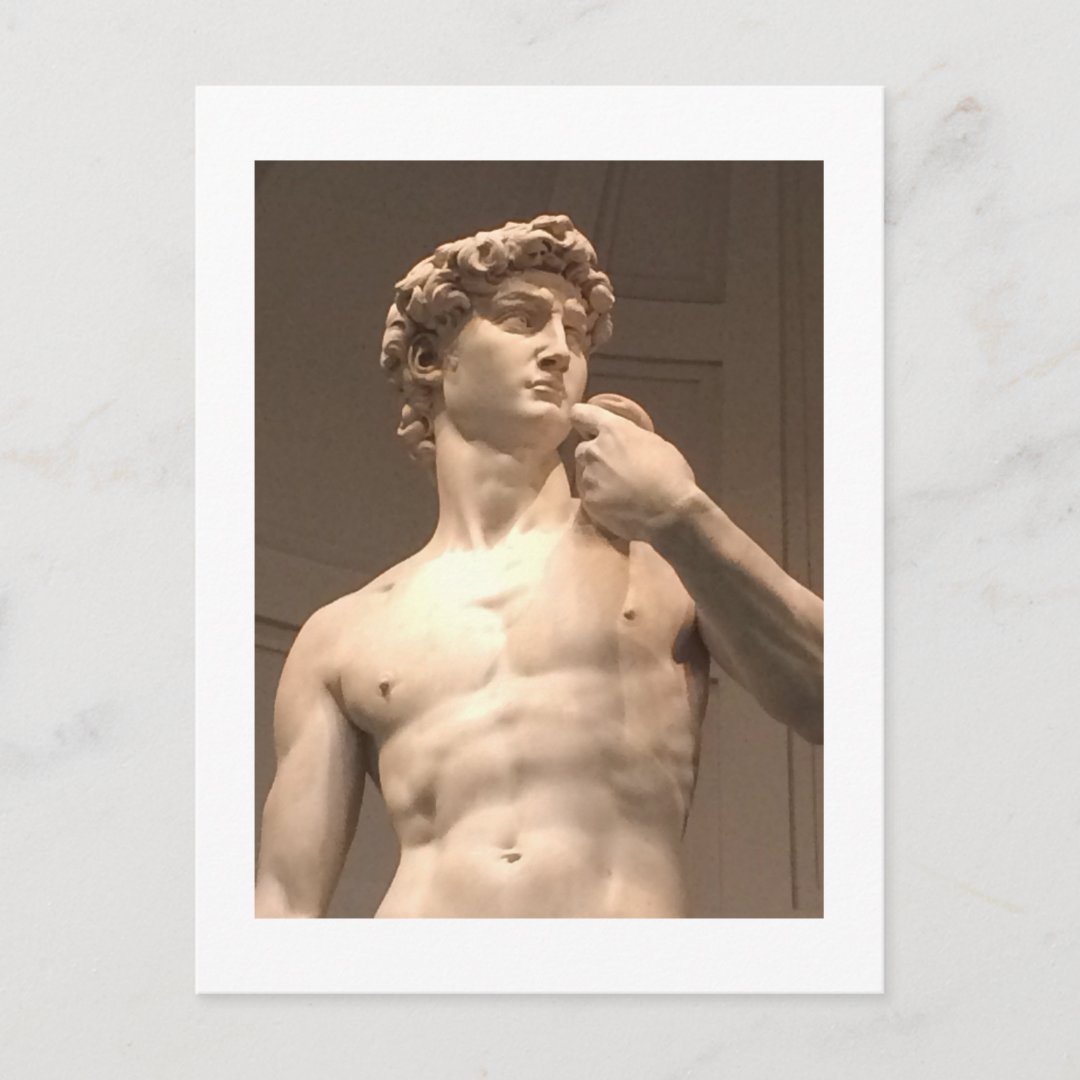 Statue of David Florence Postcard | Zazzle