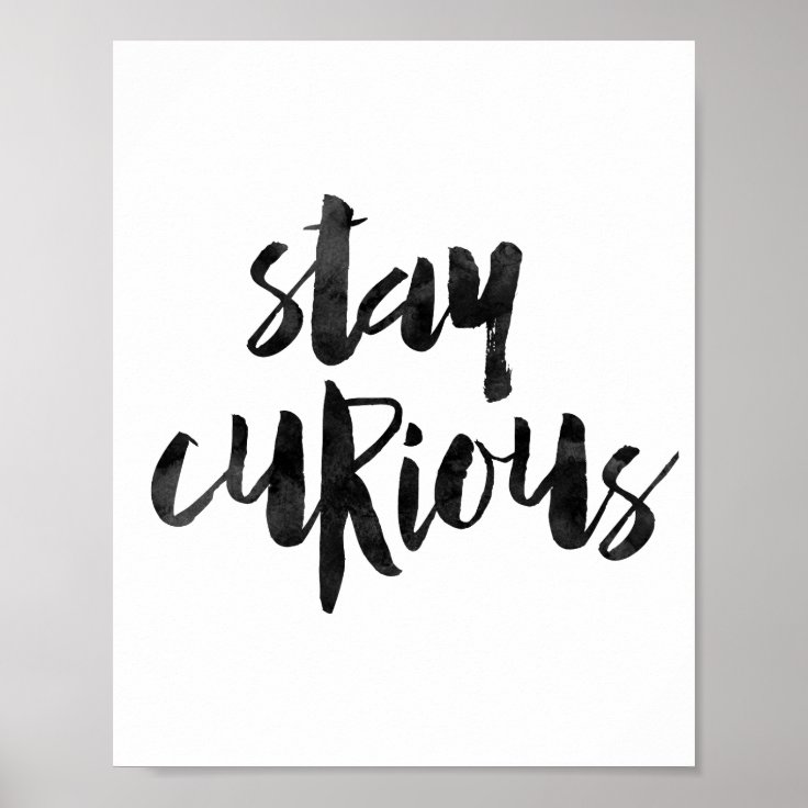 Stay Curious Poster | Zazzle