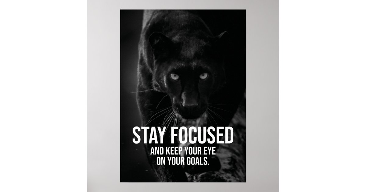 Stay Focused - Hustle, Workout, Success - Panther Poster | Zazzle