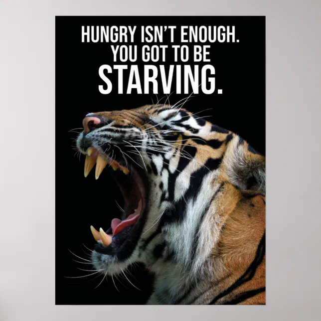Stay Hungry, Starving - Tiger, Success, Workout Poster | Zazzle