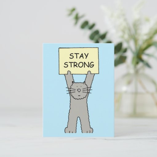 Stay Strong Encouragement Cat Postcard | Zazzle