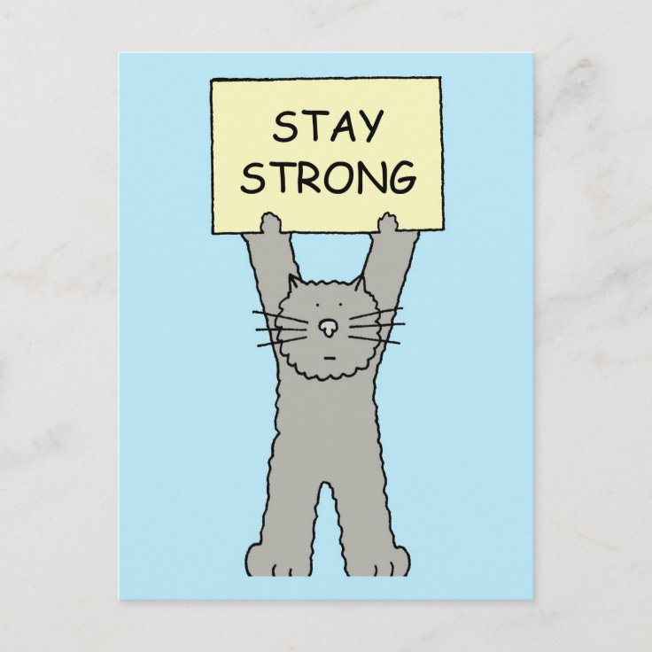 Stay Strong Encouragement Cat Postcard | Zazzle