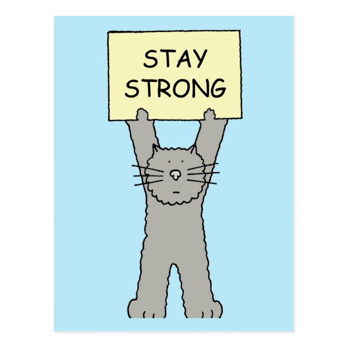 Stay Strong Encouragement Cat Postcard | Zazzle.com