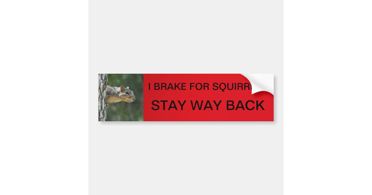 STAY WAY BACK BUMPER STICKER | Zazzle