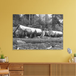 Steam Logging in the Cascades of Washington Stat Canvas Print | Zazzle
