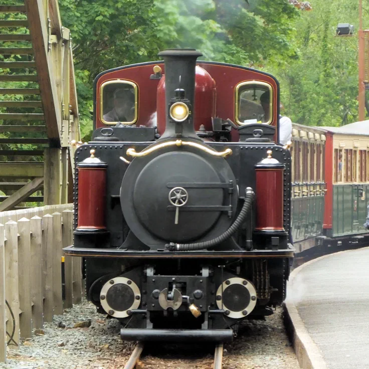 STEAM TRAIN POSTCARD | Zazzle