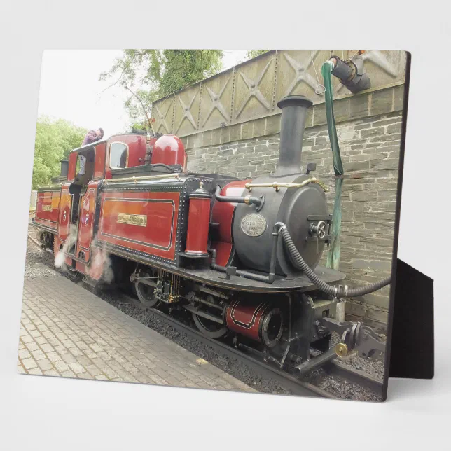 STEAM TRAINS PLAQUE | Zazzle