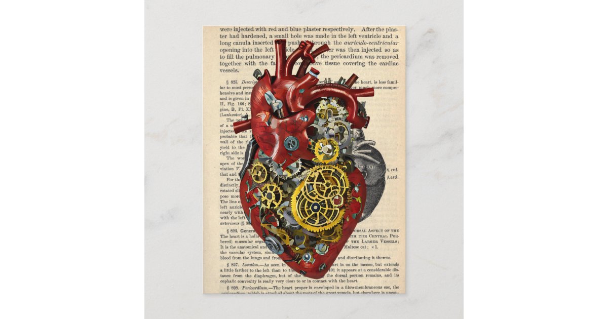 Steampunk Human Heart Anatomy Art Poster Postcard | Zazzle