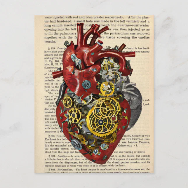 Steampunk Human Heart Anatomy Art Poster Postcard | Zazzle