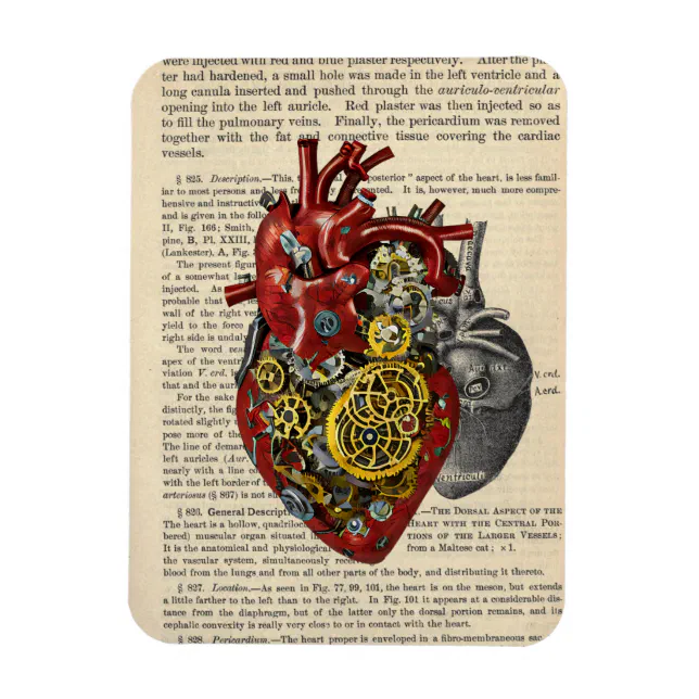 Steampunk Human Heart Anatomy Sci Fi Art Magnet | Zazzle