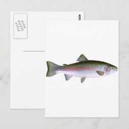 Steelhead Rainbow Trout Fishing Logo Postcard | Zazzle