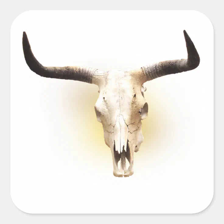 steer skull sticker | Zazzle