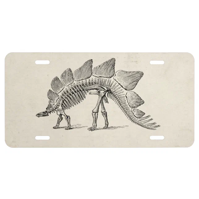 Stegosaurus Dinosaur Skeleton Fossil License Plate | Zazzle