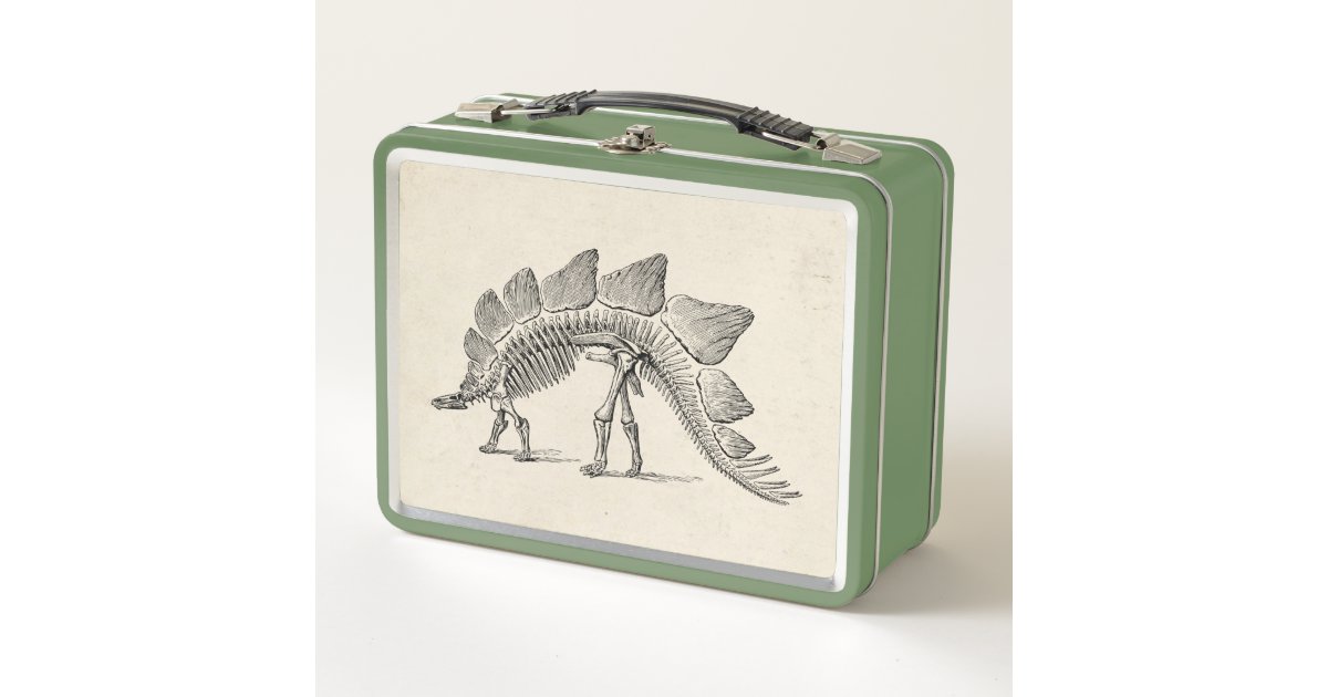 Stegosaurus Dinosaur Skeleton Fossil Metal Lunch Box | Zazzle