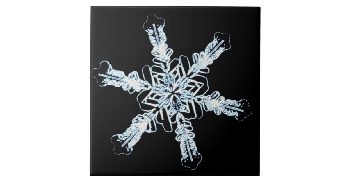 Stellar snow crystal ceramic tile | Zazzle
