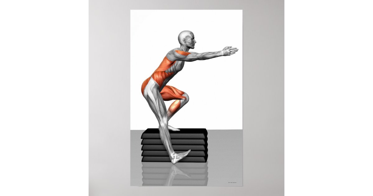 Step-Down Exercises Poster | Zazzle