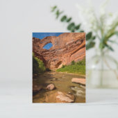 Stevens Arch - Escalante River - Utah Postcard | Zazzle