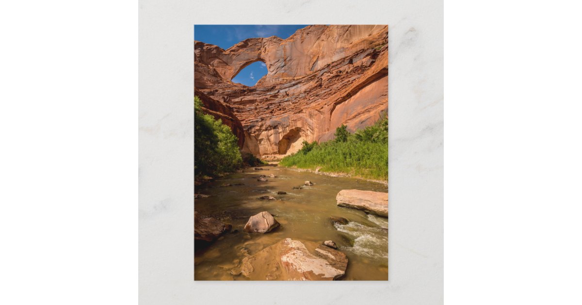 Stevens Arch - Escalante River - Utah Postcard | Zazzle