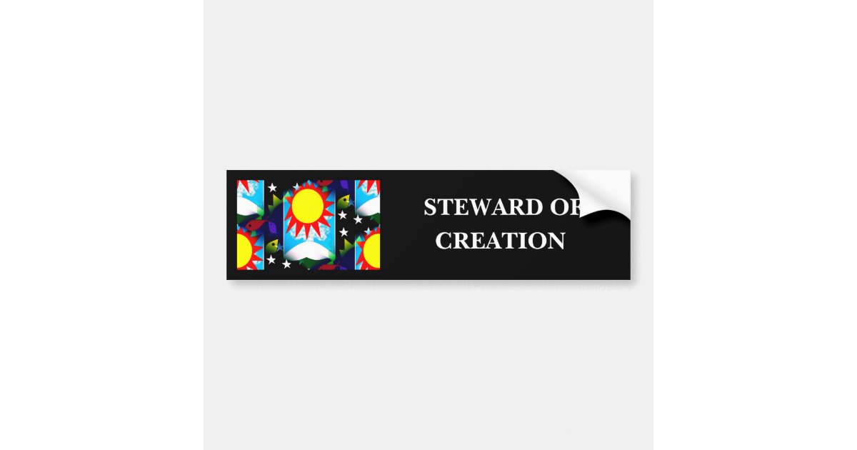 STEWARD OF CREATION BUMPER STICKER | Zazzle