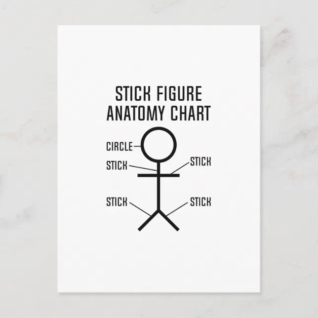 Stick Figure Anatomy Chart Postcard | Zazzle