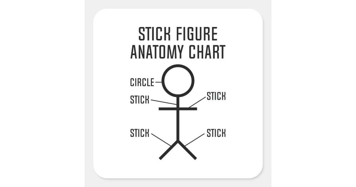 Stick Figure Anatomy Chart Square Sticker | Zazzle