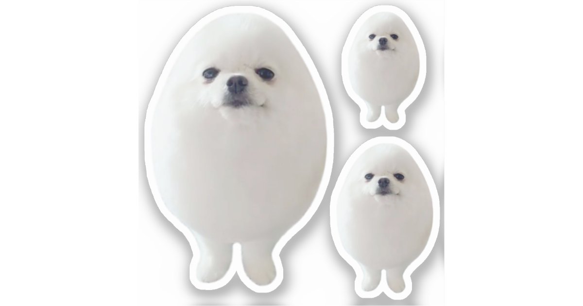Sticker Egg Dog Meme | Zazzle
